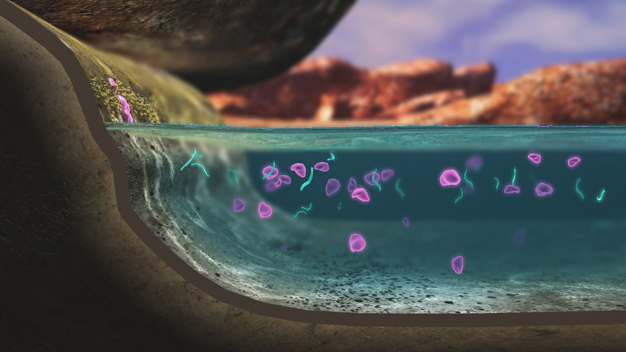 BIOTA – The New Science of Life's Origins